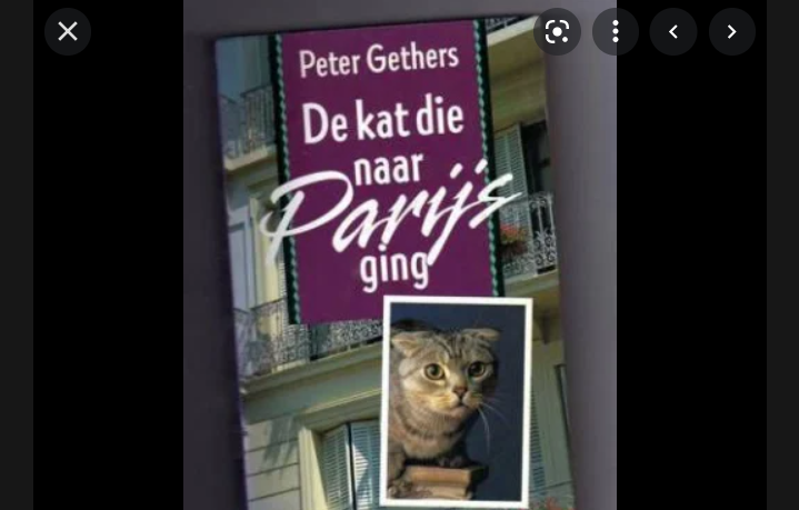 “De kat die naar Parijs ging” van Peter Gethers – dagelijks iets degelijks